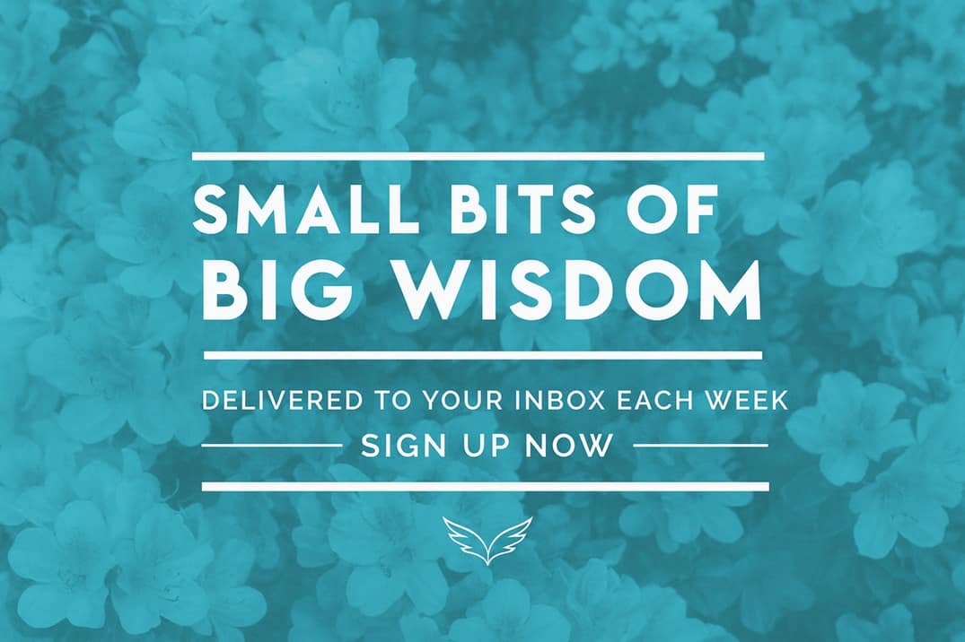 Wisdom Bits Newsletter - Small Bits of BIG Wisdom, Inspiration & Guidance